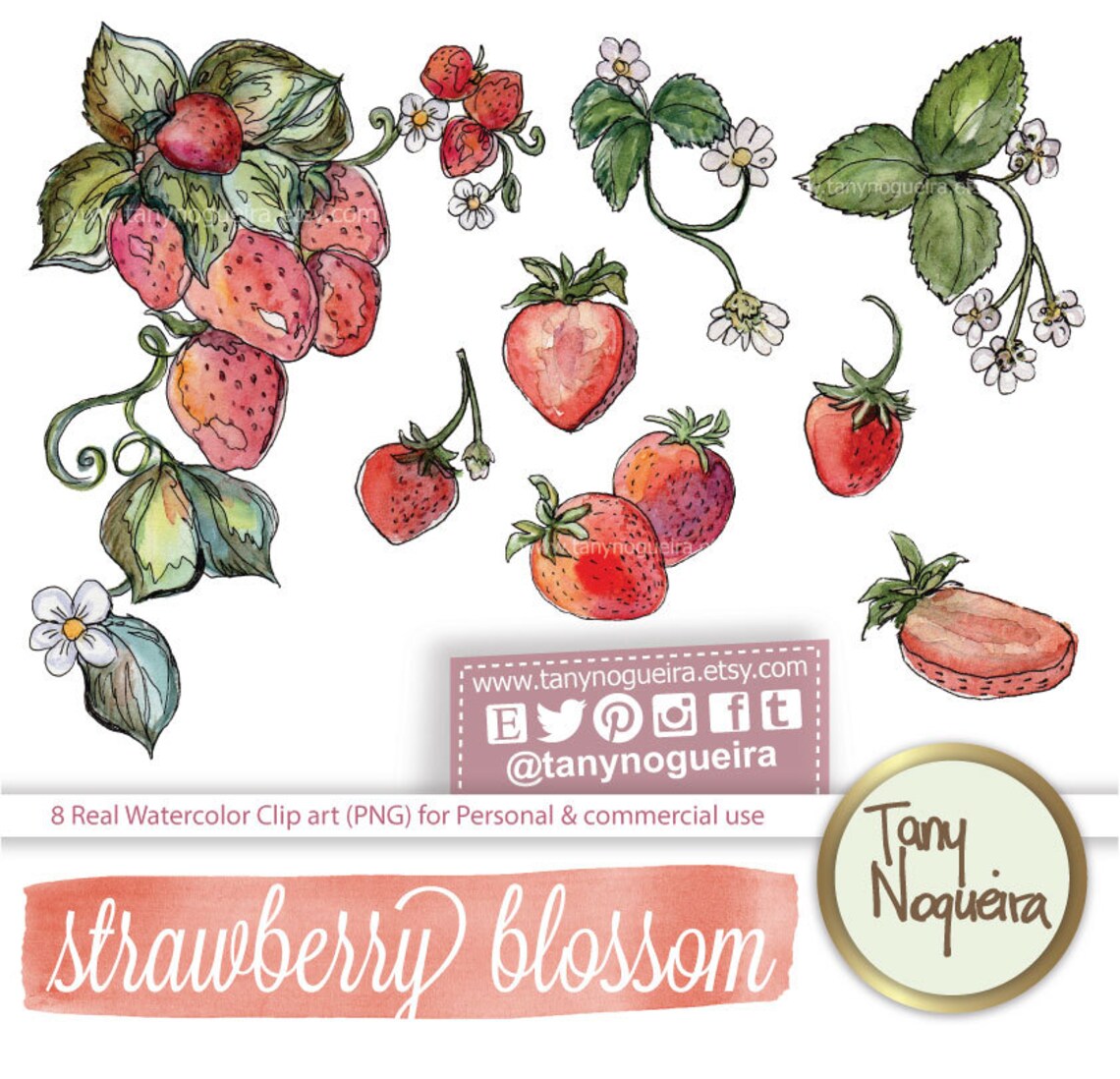 Strawberry Blossom Clip Art Images Watercolor Hand Painted PNG ...