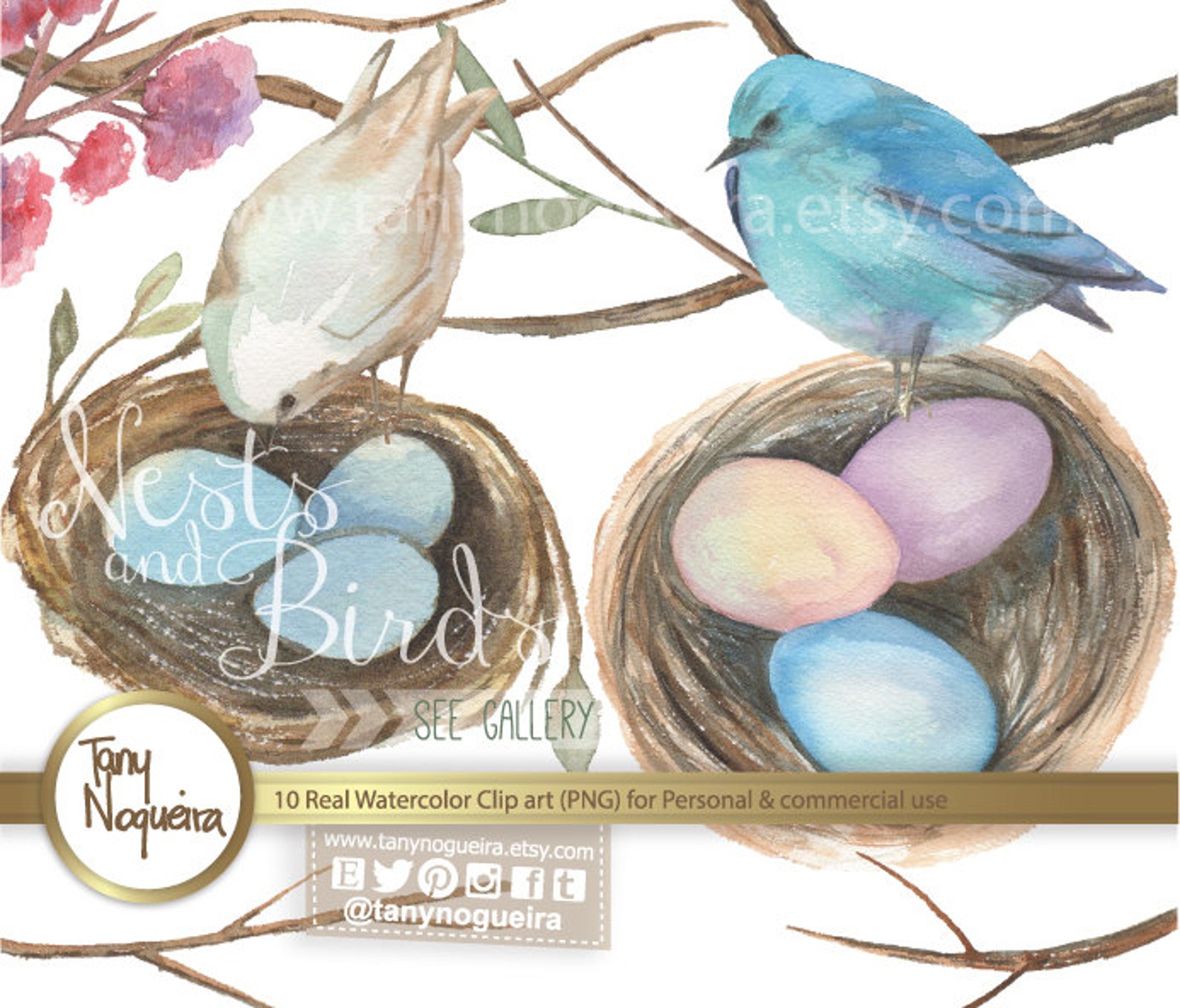 Nidos y Pajaritos HuevosPrimavera Pascua Pintados con - Etsy México