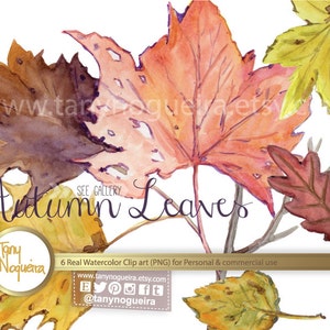 Autumn Tree Leaves Leaf Clip Art Images Watercolor Hand Painted PNG ...