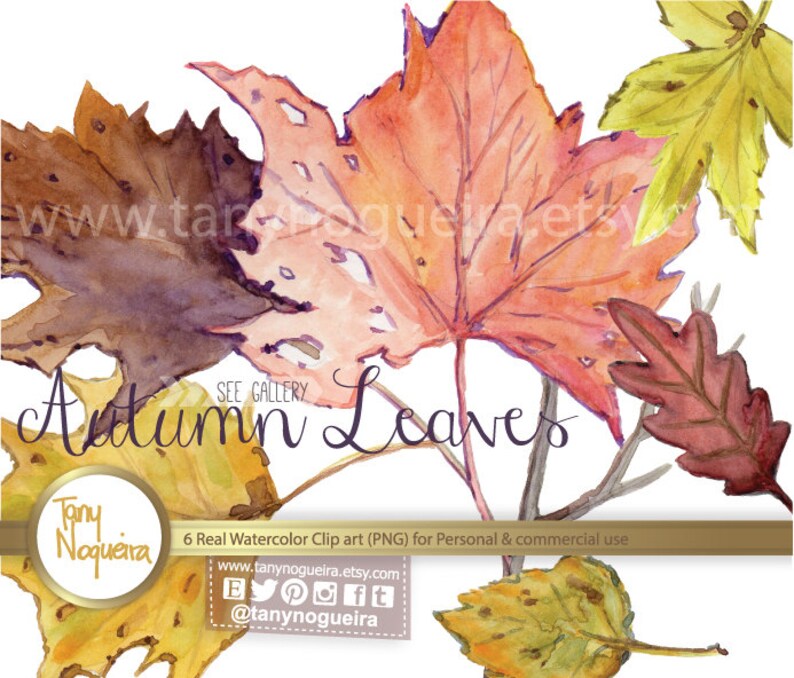 Autumn Tree Leaves Leaf Clip Art Images Watercolor Hand Painted PNG ...