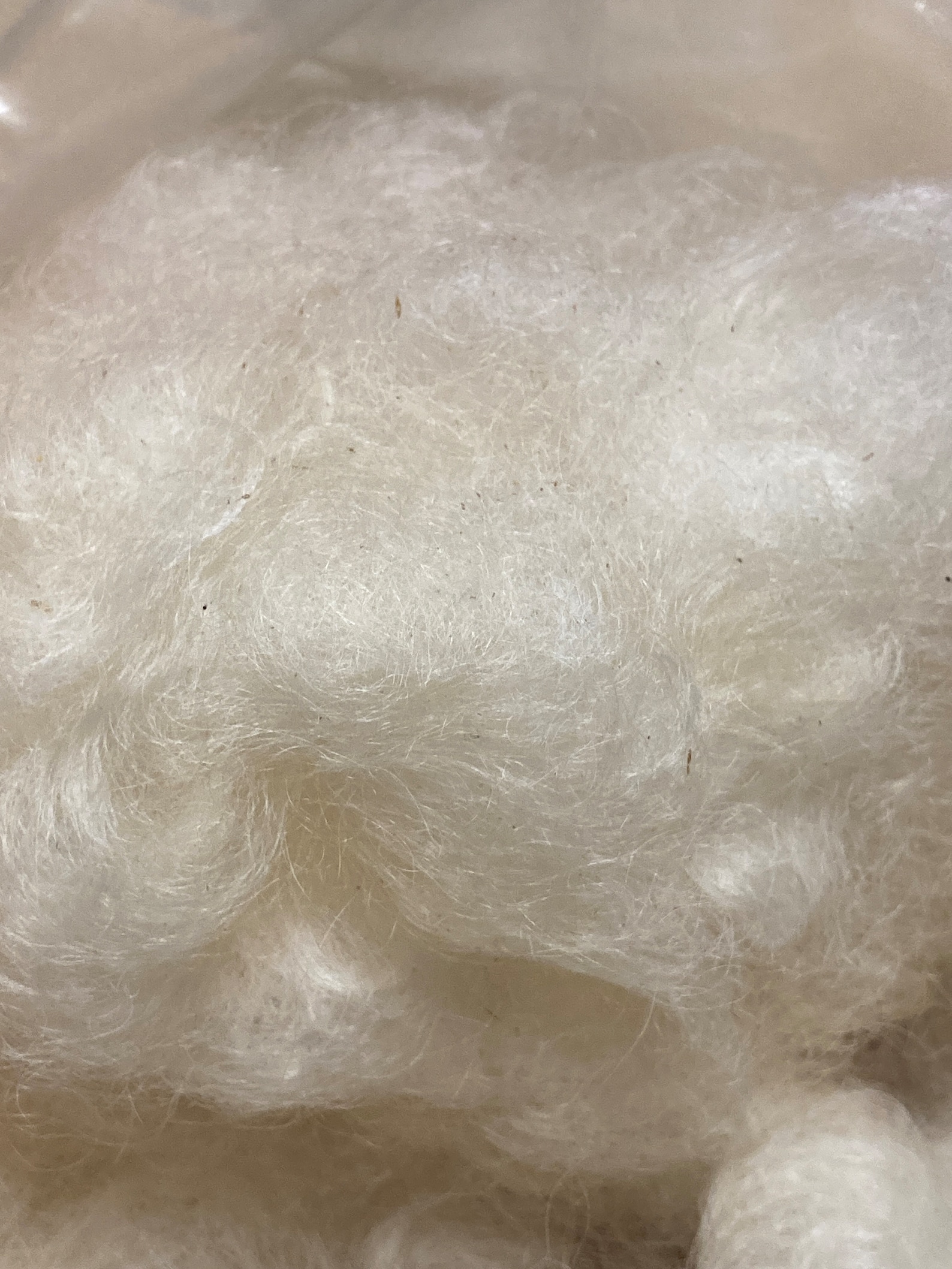 COTSWOLD Wool-4oz Bags Loose Fiber-tumbled-washed-picked-combed-spin ...