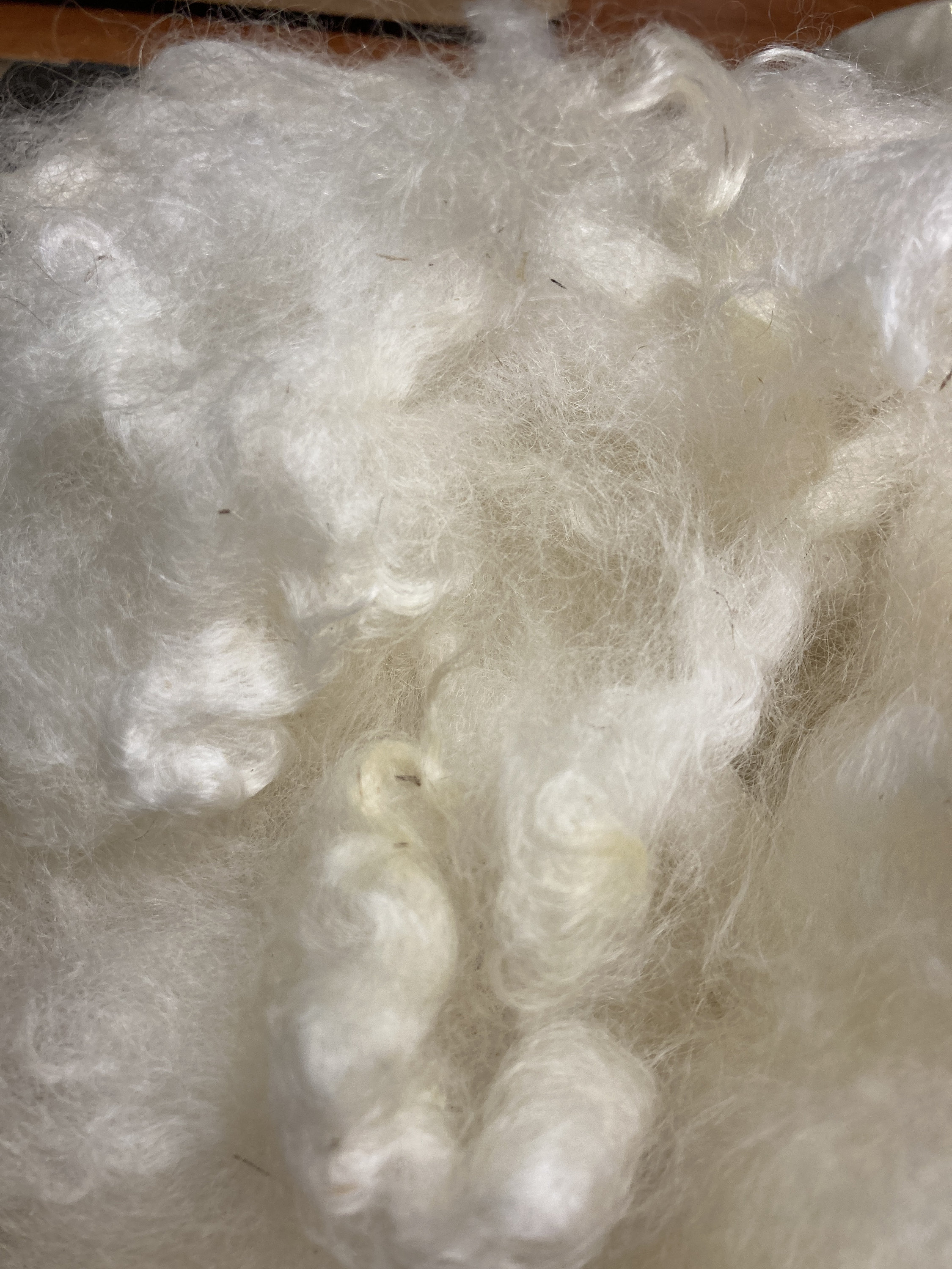 COTSWOLD Wool-4oz Bags Loose Fiber-tumbled-washed-picked-combed-spin ...