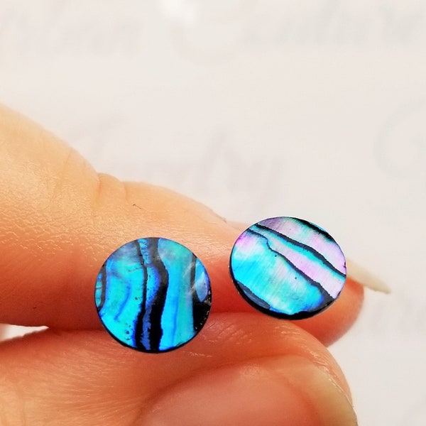 Shell Stud Earrings - Etsy