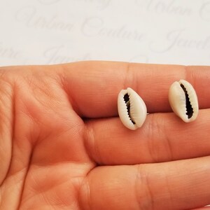 Small Sea Shell Earrings, Sea Shell Stud Earrings, Hypoallergenic ...