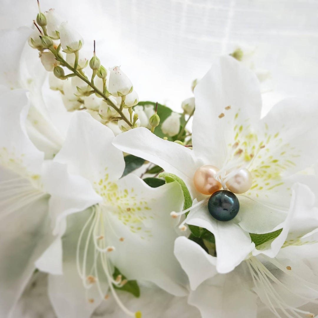 3 Open an Oyster With Pearl - Akoya Saltwater Oyster, Pearl Party ...