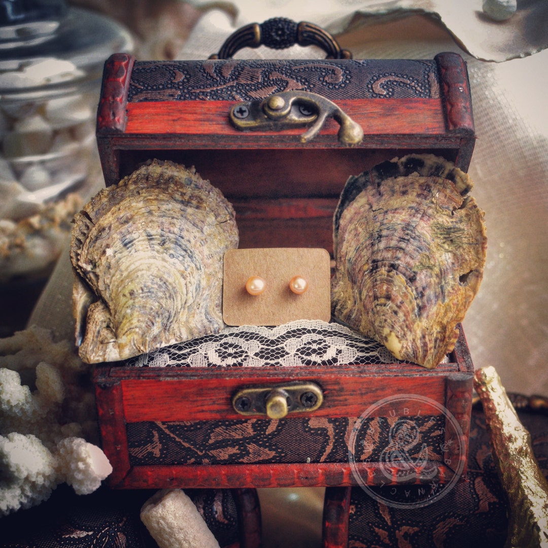 DIY Pick A Pearl Oyster Earring Kit: Disney Gift for Christmas Mom ...
