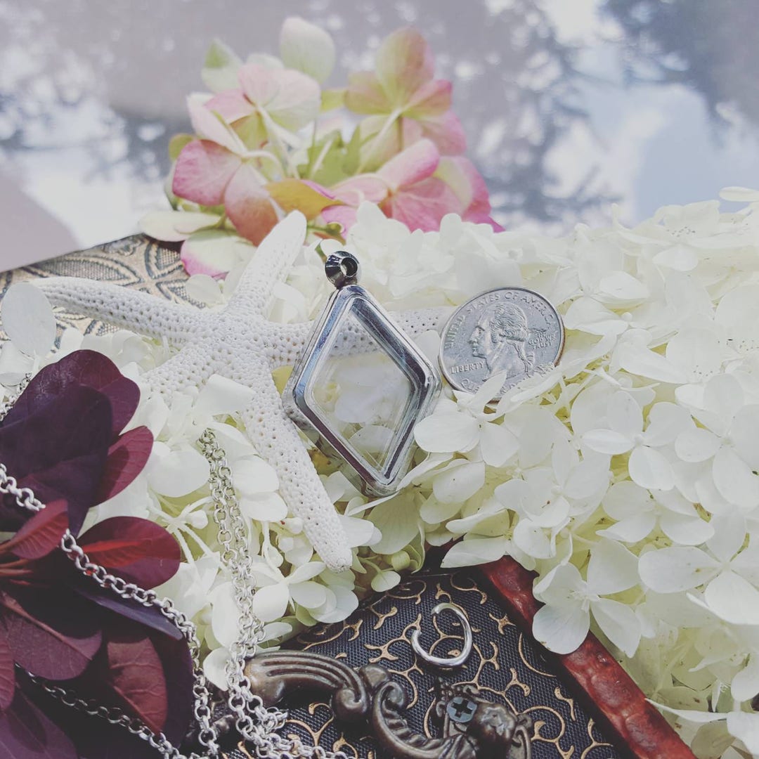 Pearl Cage Necklace Terrarium Jewelry Locket for Disney Pick a Pearl ...