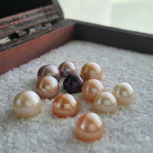 Open an Oyster With Pearl Natural Color Akoya Saltwater Oyster, Pick a ...