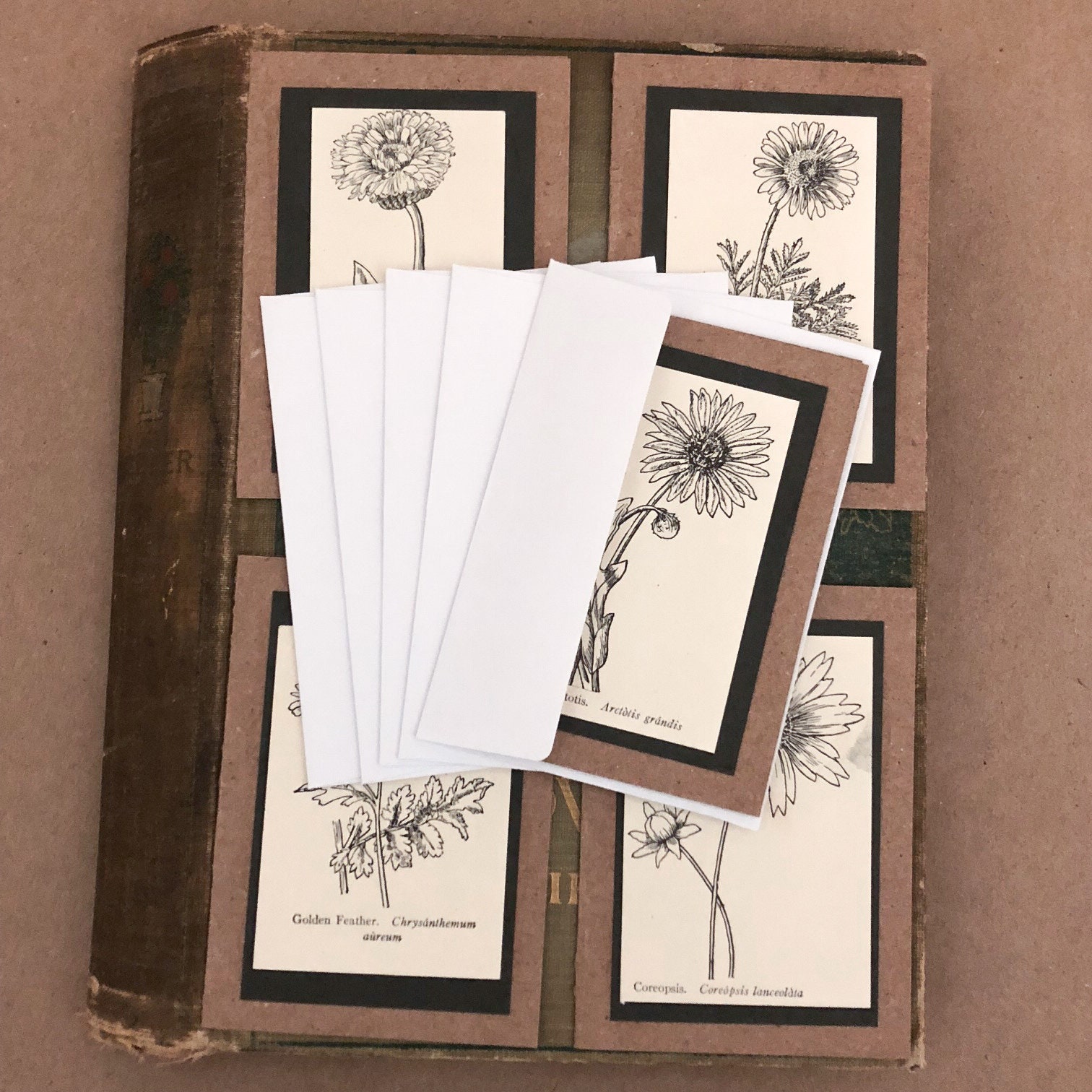 Mini Botanical Illustration Cards - Etsy
