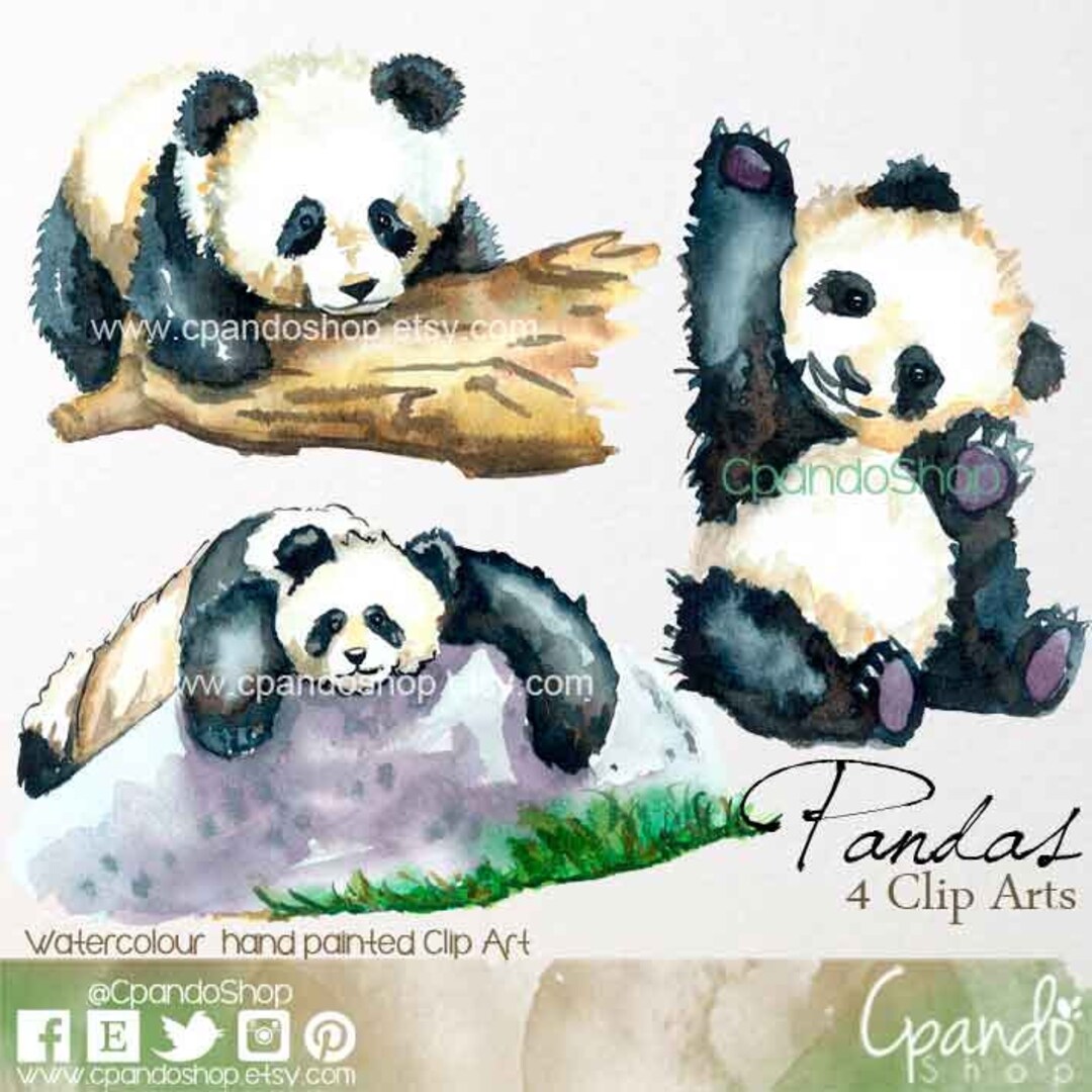 Panda Clipart / Animal Clipart / Baby Panda Clip Art and Background ...