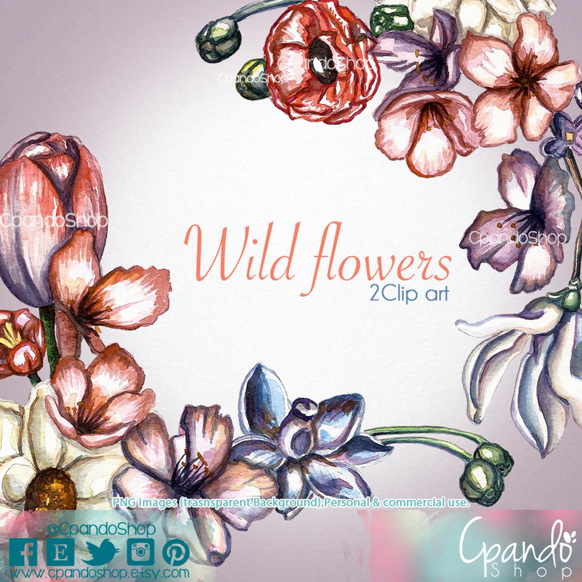 Watercolor Flowers Hand Painted Clipart 2png Images | Etsy