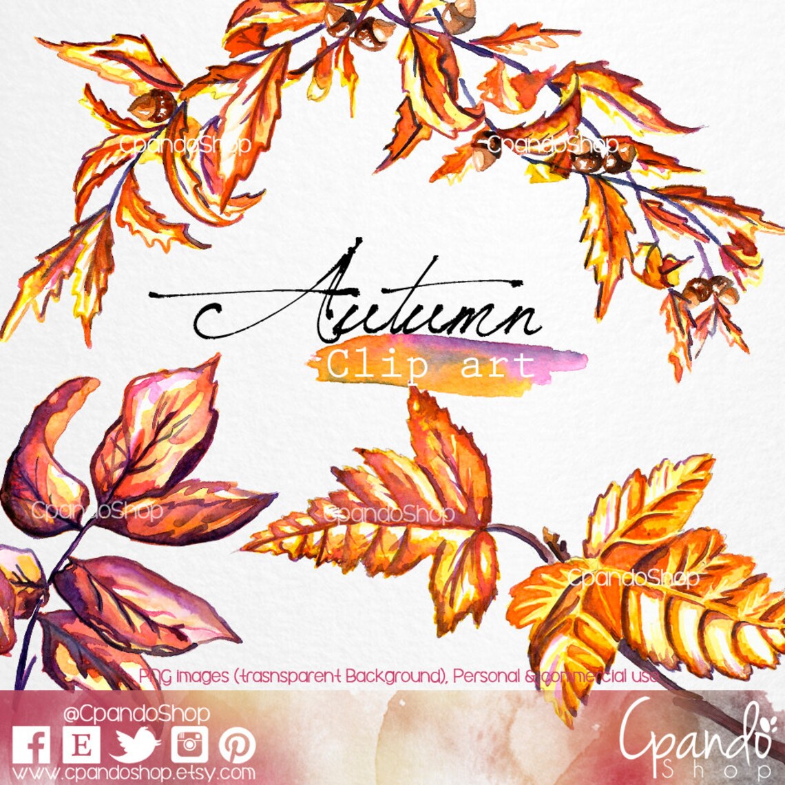 Autumn Hand Painted Watercolor Clip Art 10 Png Images With - Etsy