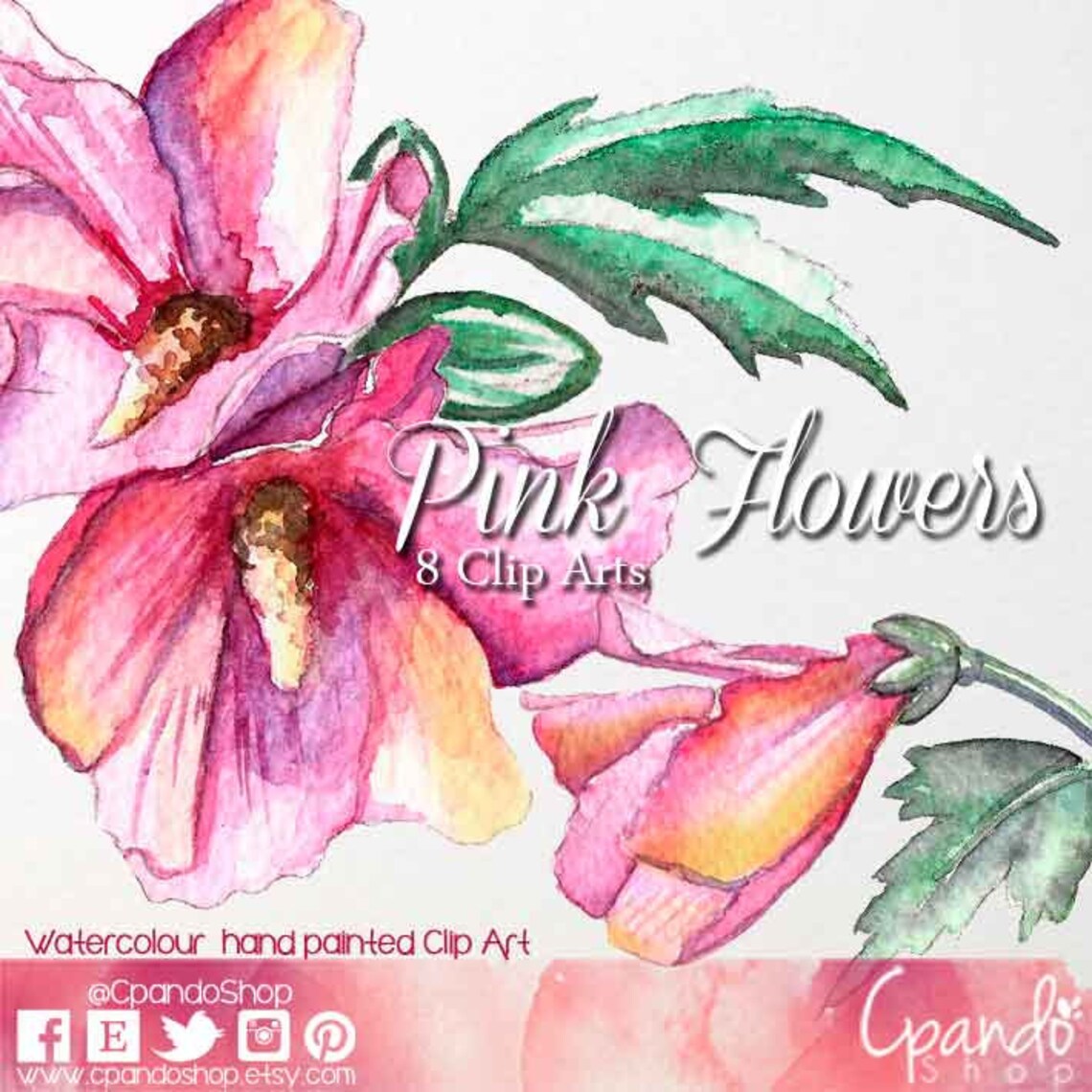 Pink Flowers Watercolor Clip Art Png Frames Background for - Etsy