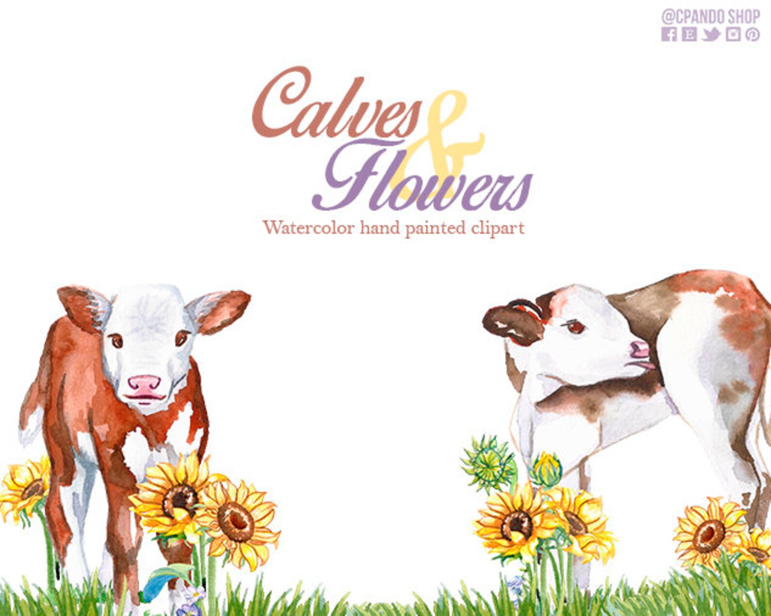 Calves and Flowers Hand Painted Watercolor Clip Art Perfect | Etsy