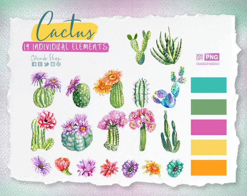 Watercolor Cacti clipart Tropical watercolor plant png | Etsy