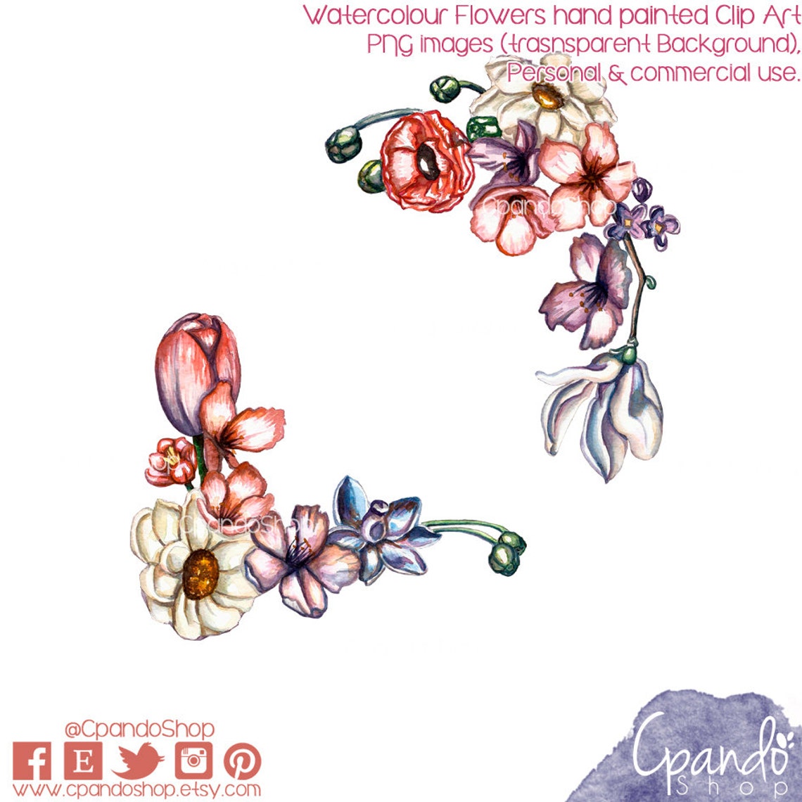 Watercolor Flowers Hand Painted Clipart (2png Images Transparent ...