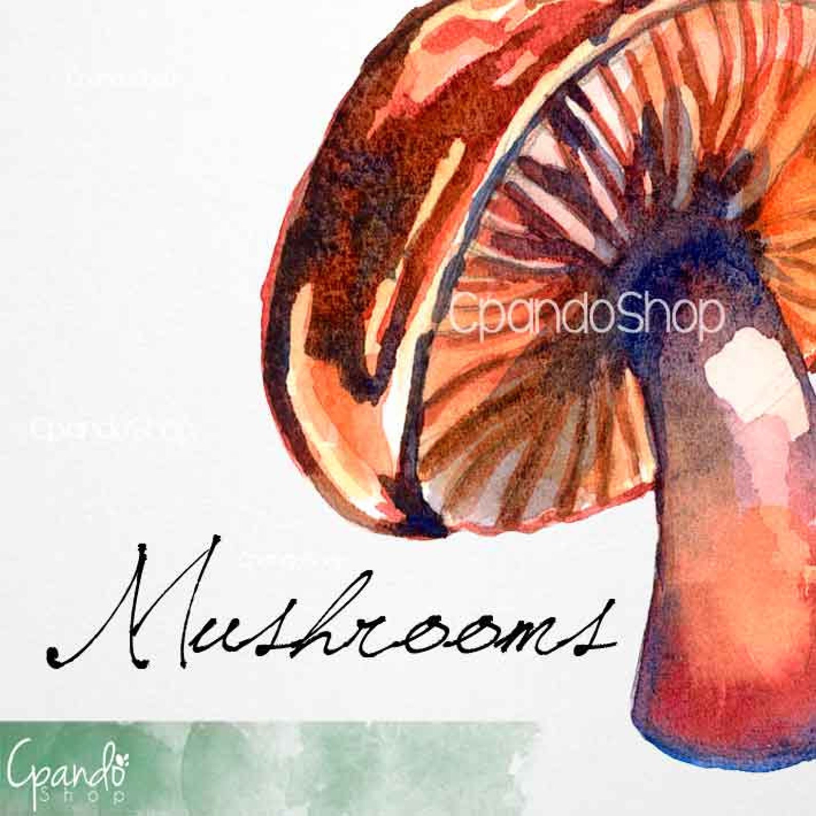 Watercolor Mushrooms Clip Art Set Digital Mushroom Clipart | Etsy