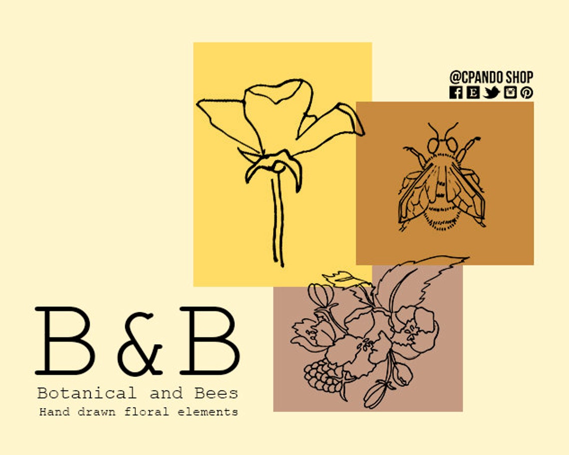 Botanical and bees Hand Drawn Florals Clip Art Digital | Etsy