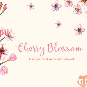 Cherry Blossom Clip Art Pink Cherry Blossoms Clipart Flowers Digital ...