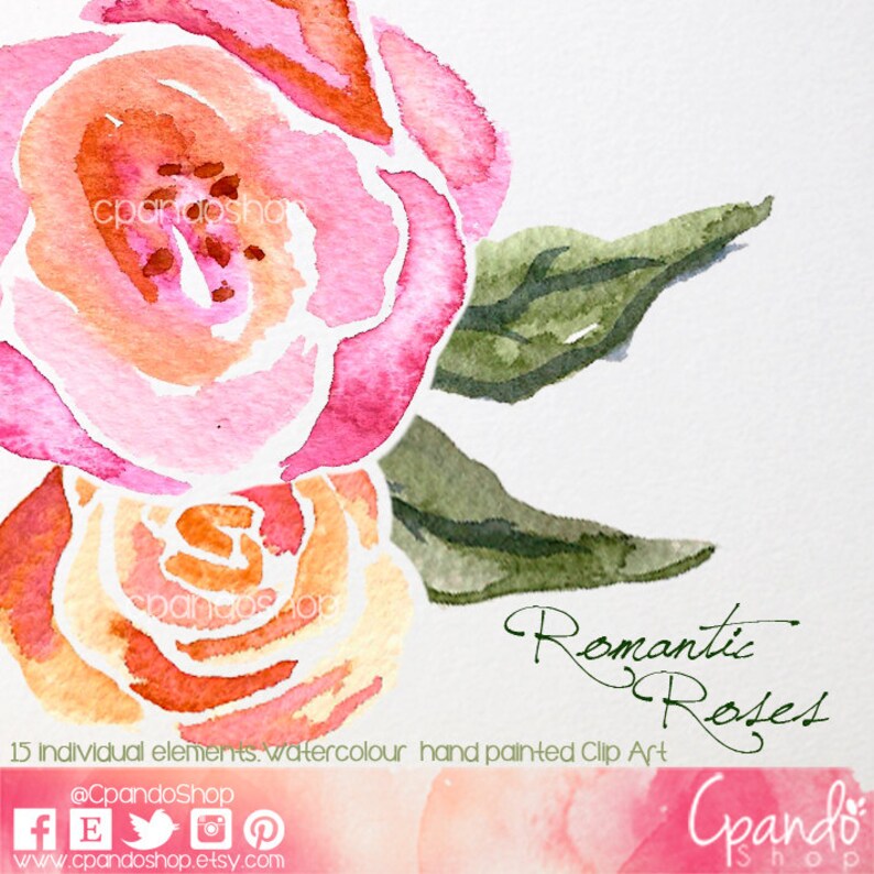 Watercolour Floral Clipart Roses, Watercolour Clip Art/rose/individual ...