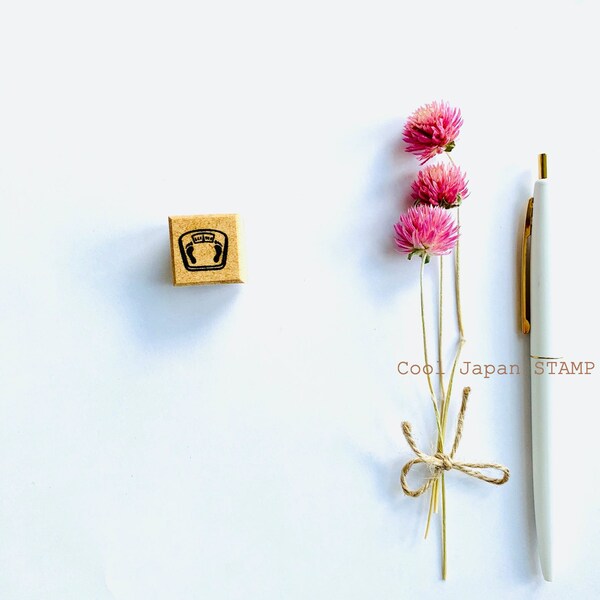 48 Printable Pantry Labels: Stella Vintage Blue Collection - Etsy Canada