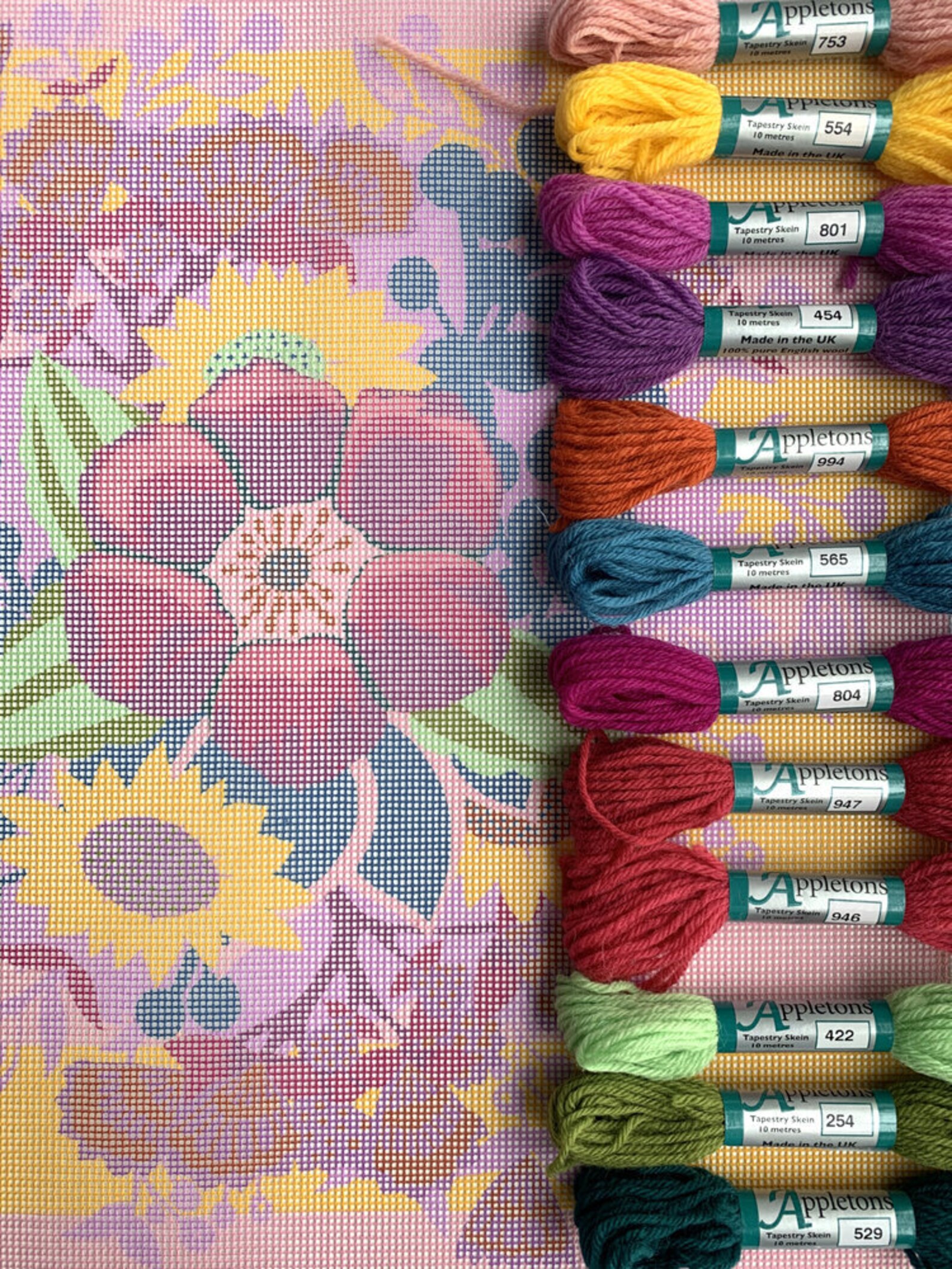 Anna Maria Horner Needlepoint / Tapestry Kit - Centre of Attention - Etsy