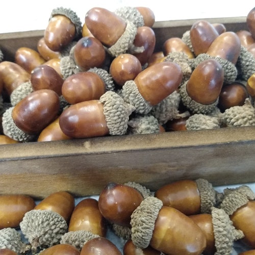 Fake Natural Very Realistic Looking Acorns With Real Caps - Etsy