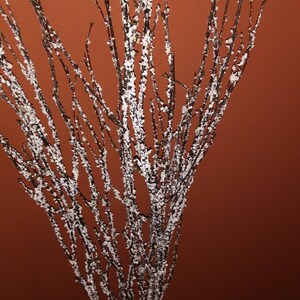 Snow Flaked Birch Tree Branches (25-50) 3'-4' Long - Bulk Birch ...