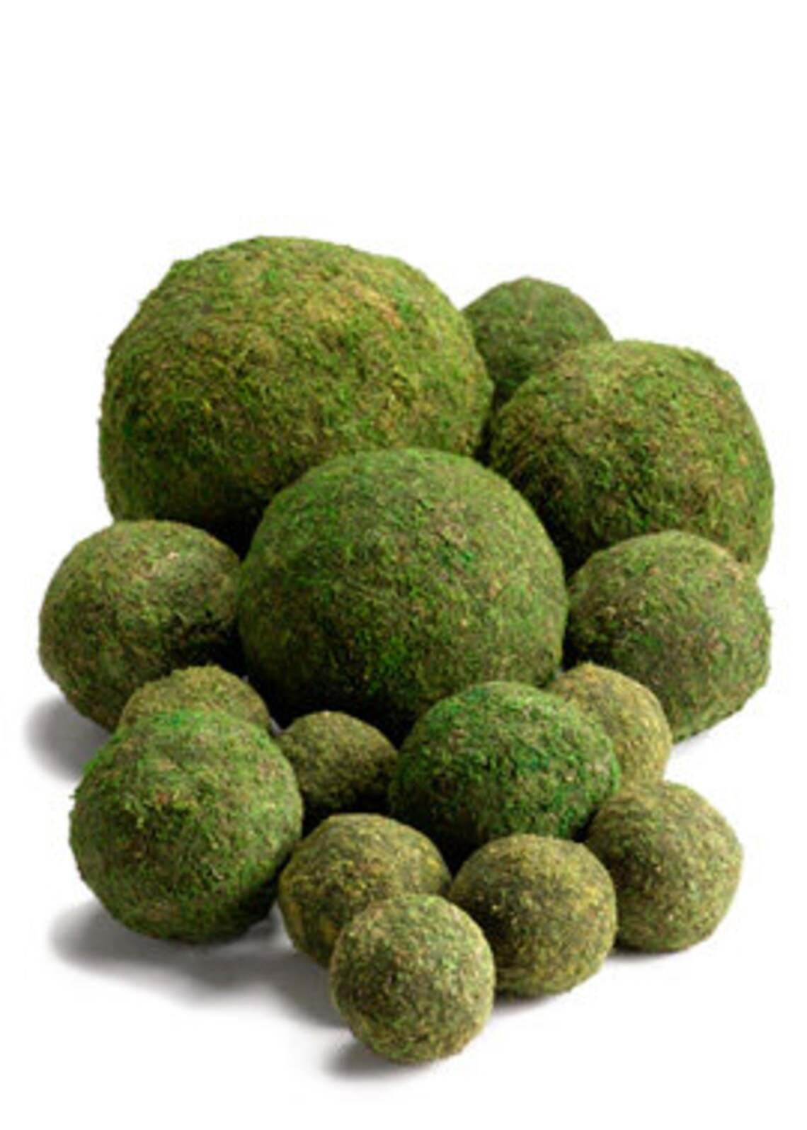 Moss Balls Preserved All Natural 46 & 8 - Etsy UK