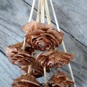 Pinecone Cedar Rose Stems (10 Stems) 12" Long - Perfect for Rustic ...