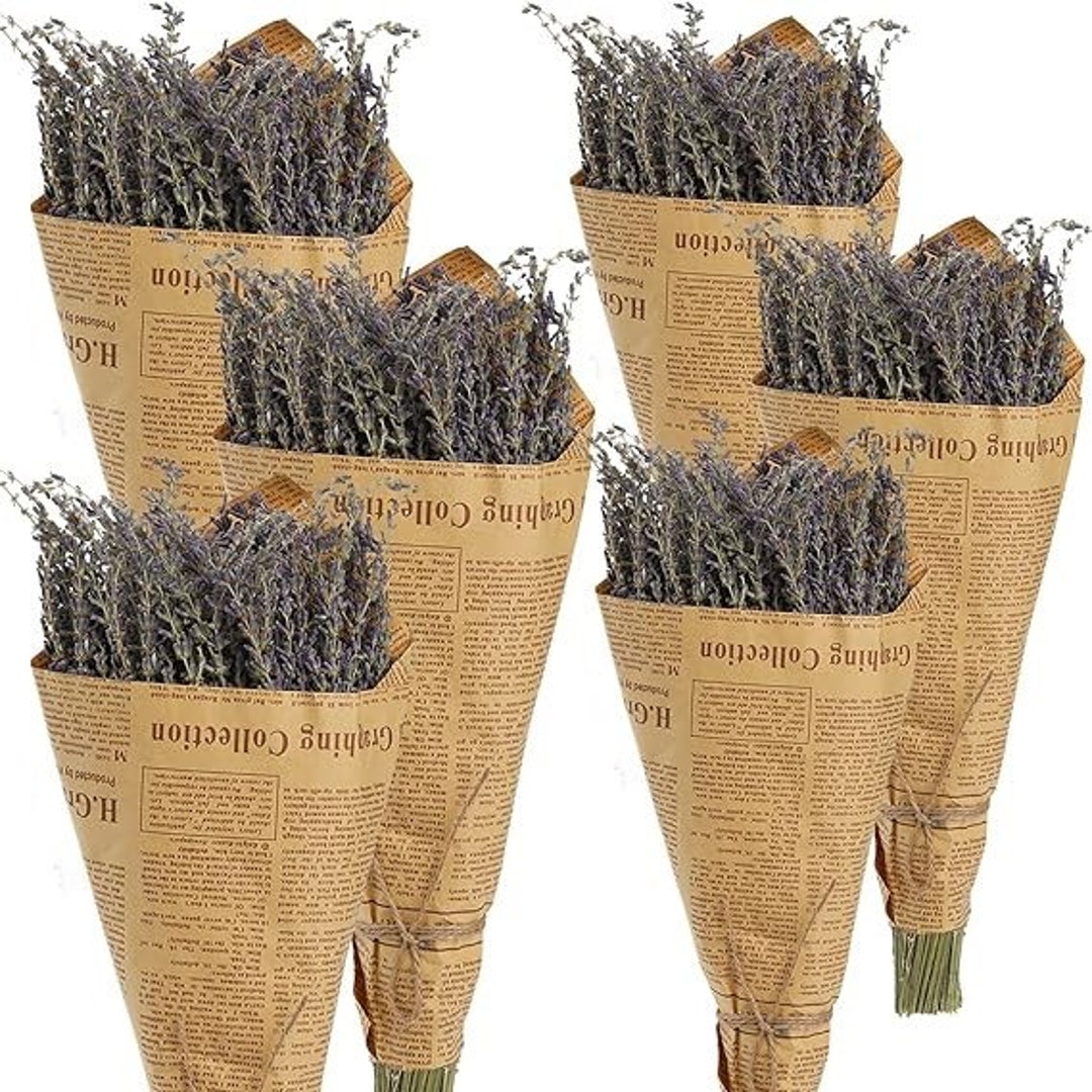 BULK English Lavender Bunches Dried 11"-15" Long (10-20) - Lavender ...