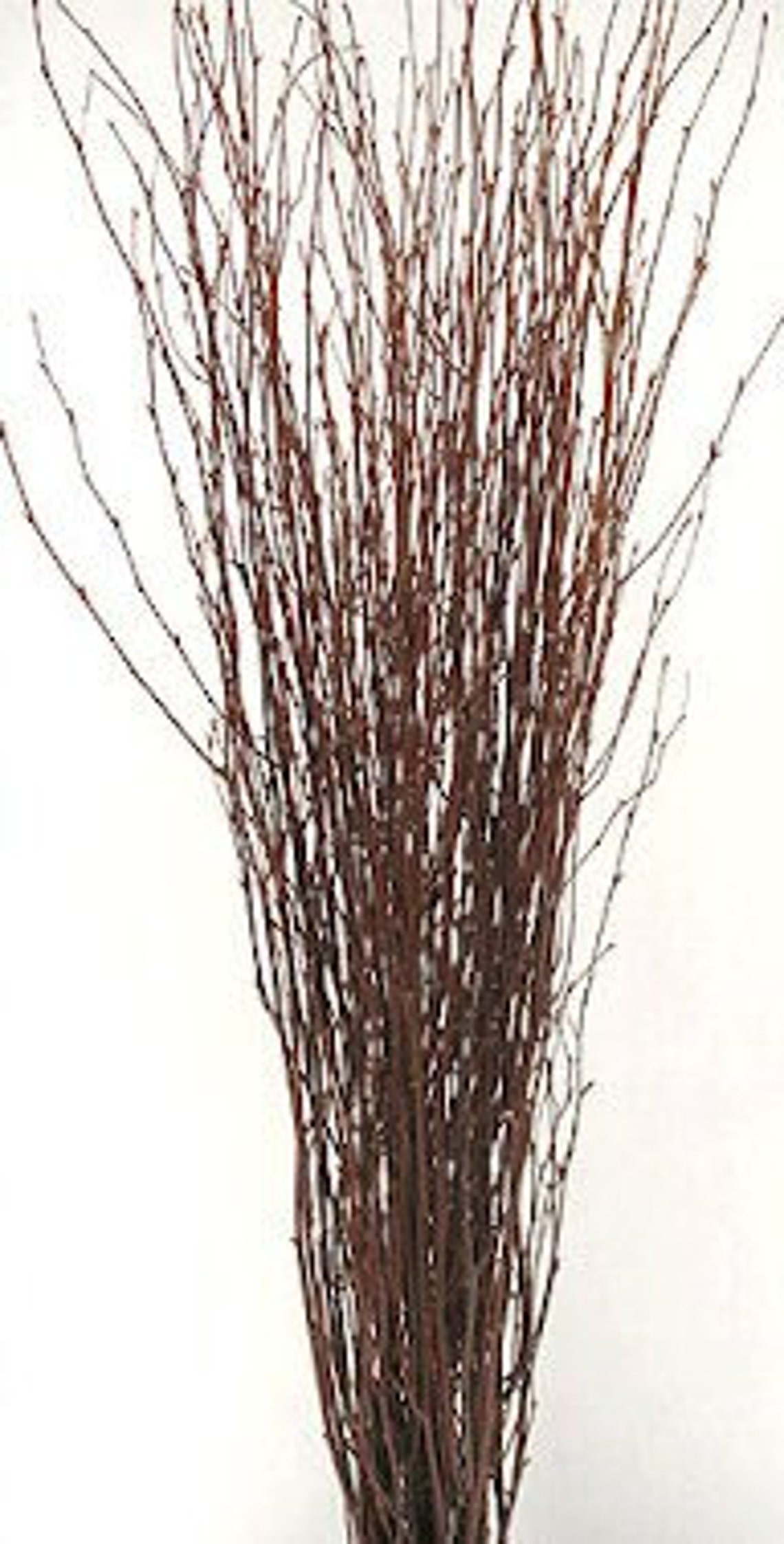 Dogwood Tree Branches 3'-4' Tall (25-50 Individual Branches) - Great ...