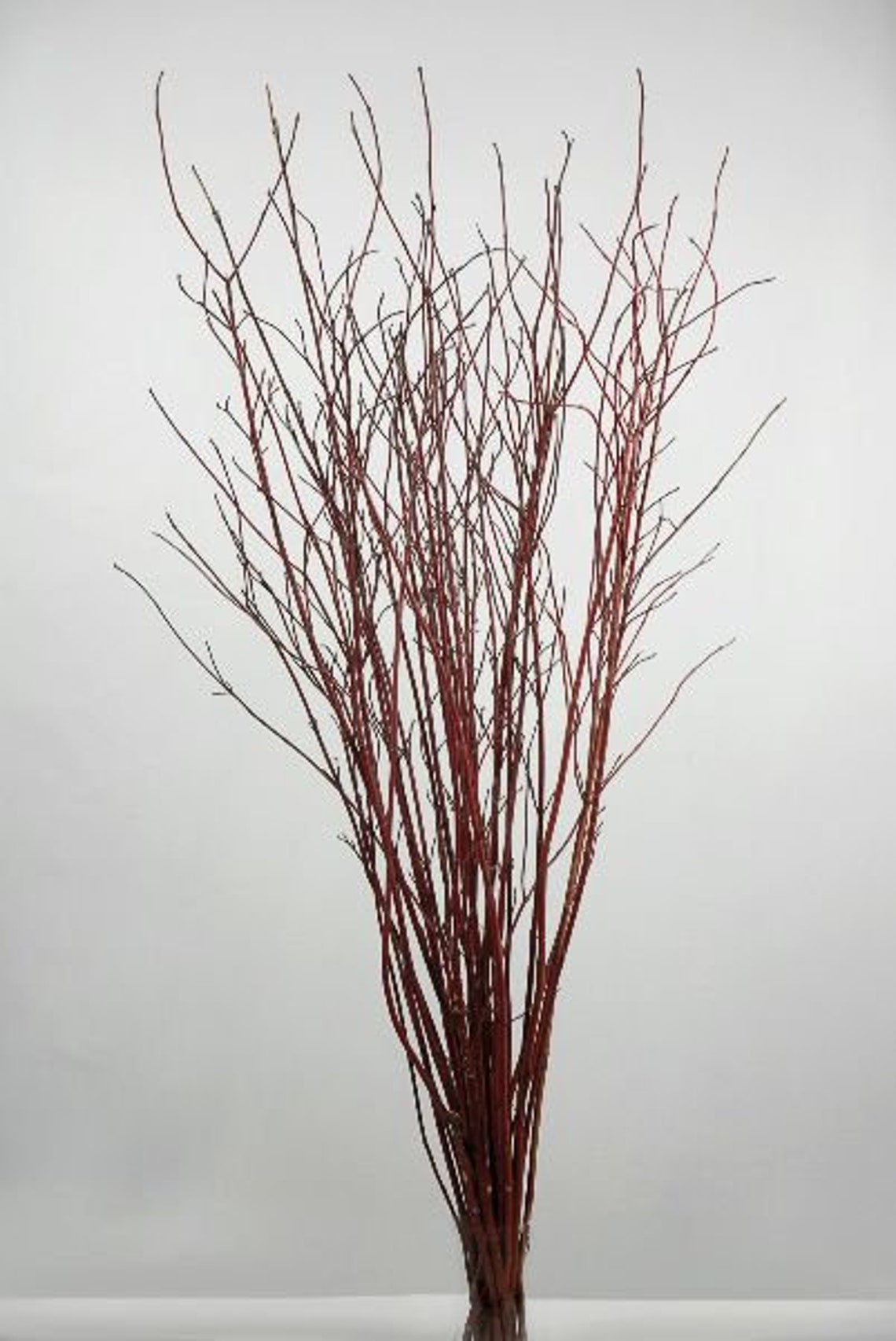 Dogwood Tree Branches 3'-4' Tall (25-50 Individual Branches) - Great ...