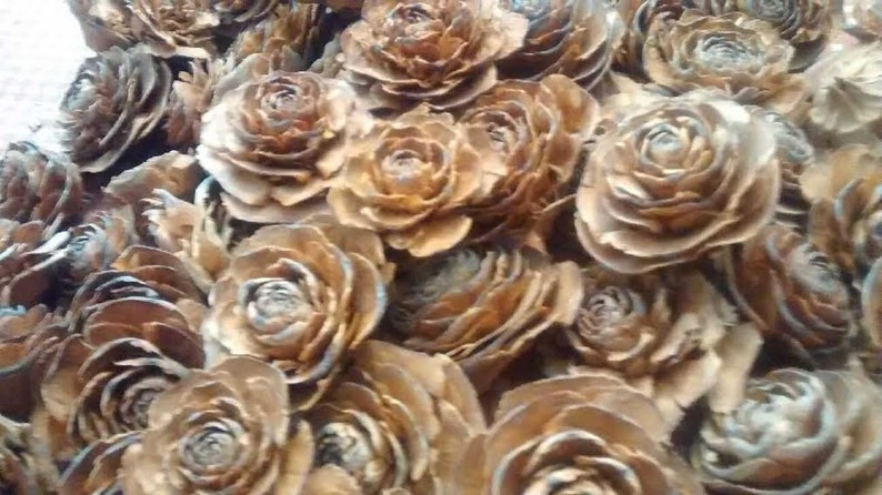 Cedar Rose Pinecones 100 (single Heads) - Perfect for Rustic Country ...