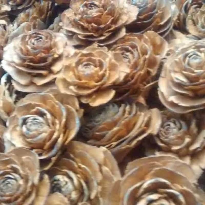 Rose and Pinecone Bouquet - Etsy