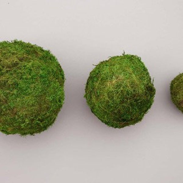 Moss Ball - Etsy