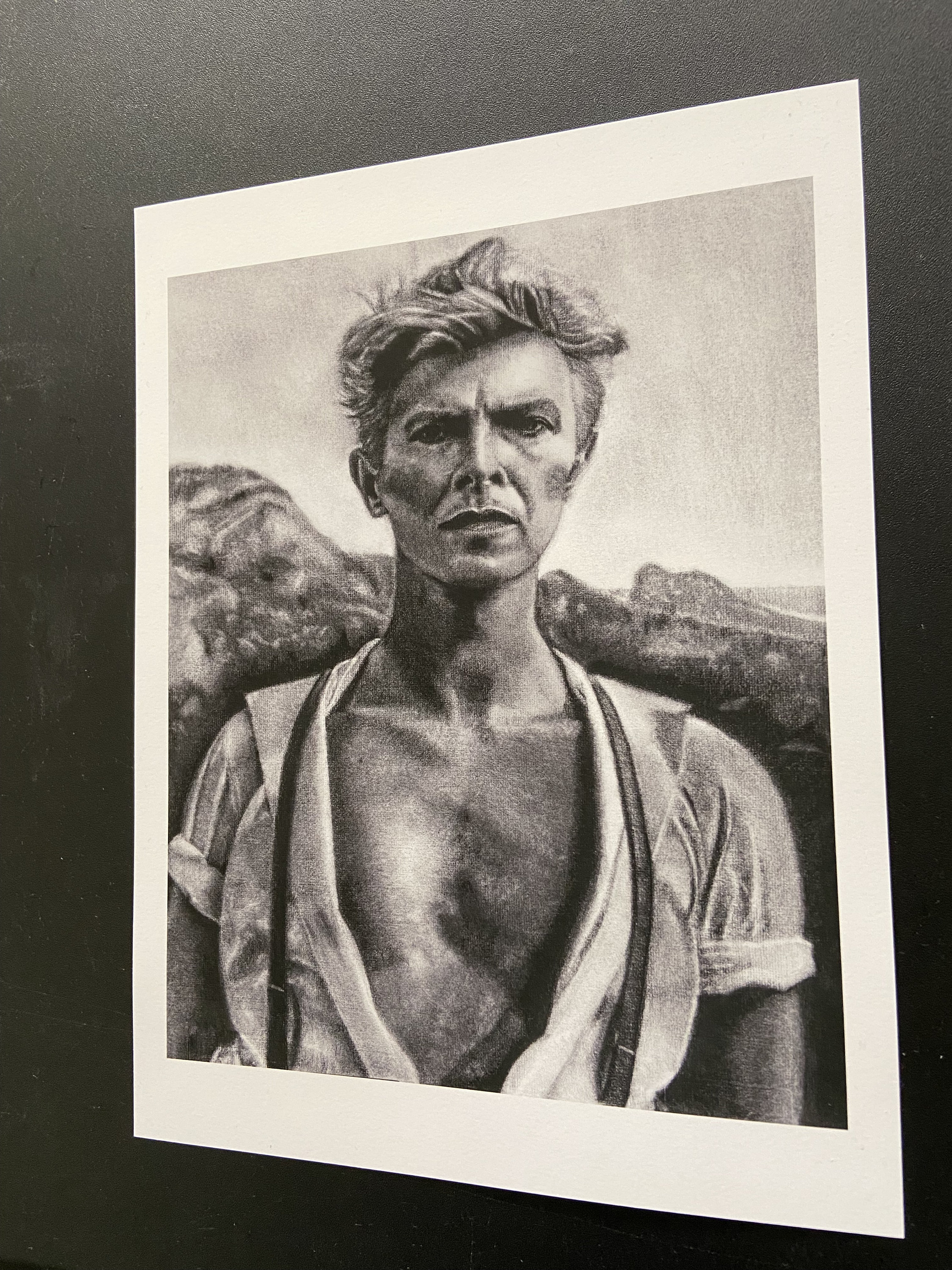 David Bowie Art David Bowie Art Print David Bowie Rock - Etsy Canada