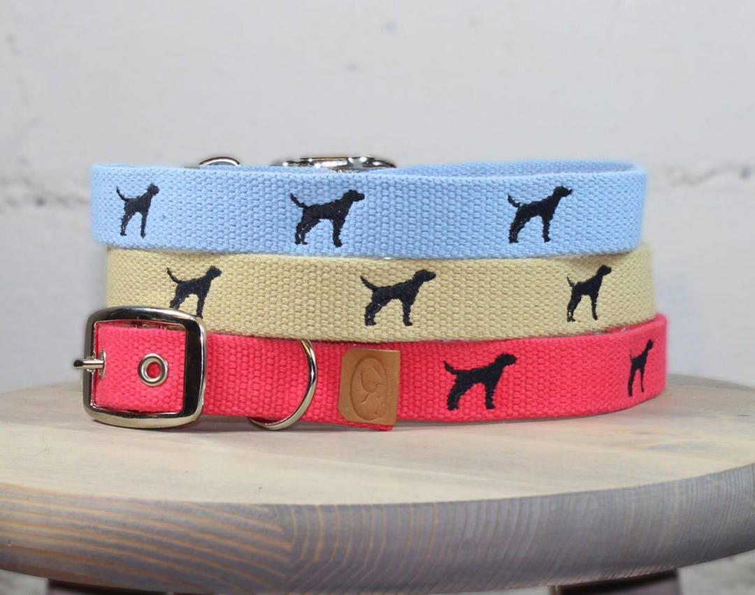 Black Lab Embroidered Dog Collar - Carolina Blue, Khaki, Geranium Red ...