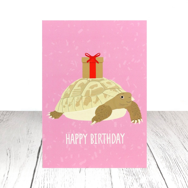 Turtle Birthday Card - Etsy