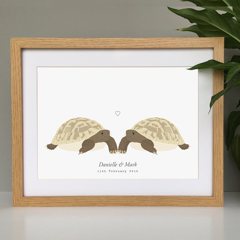 Tortoise Gifts - 60+ Gift Ideas for 2024