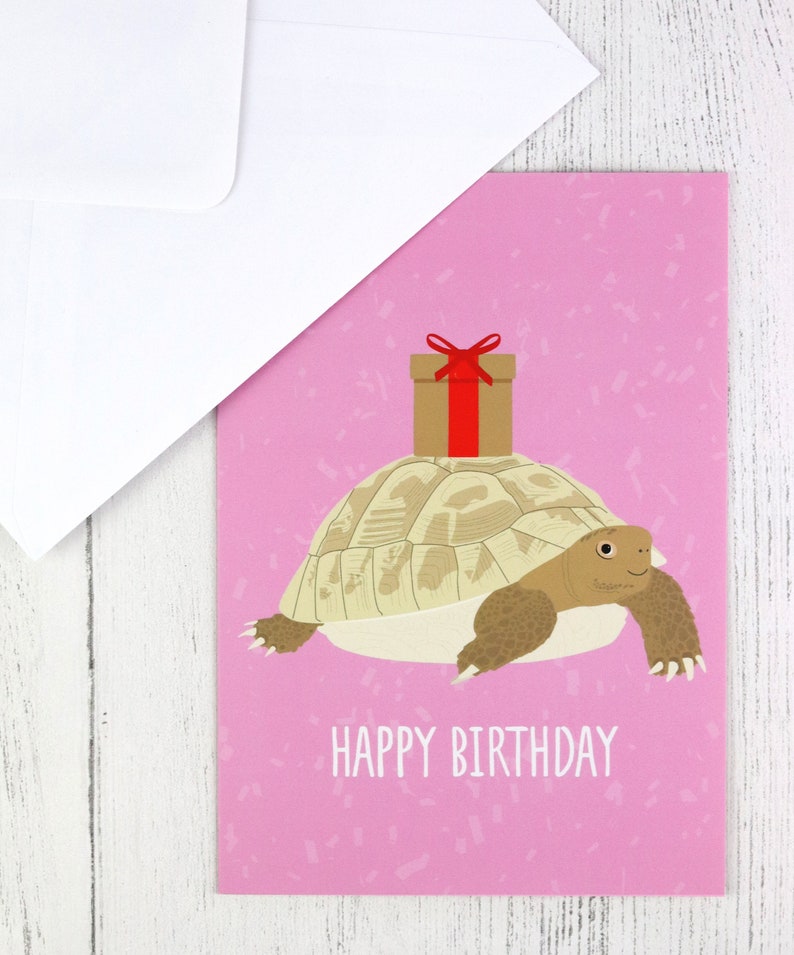 Tortoise turtle birthday card | Etsy