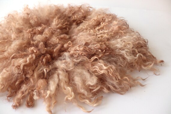 Curly Fur Wool Photo Prop Felt Mat Felt Layering Piece - Etsy