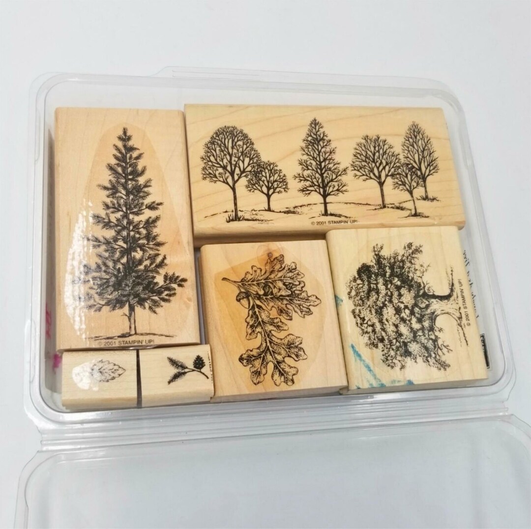 Stampin up Lovely as A Tree Maple Pine Fir Wood Mounted Nature Rubber ...