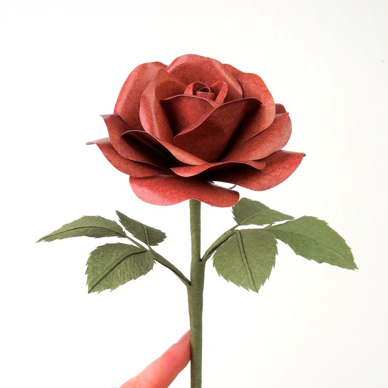 Leather Rose - Etsy