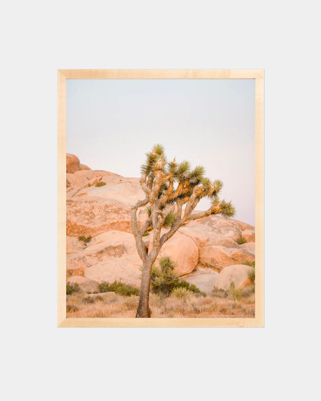 Yucca Desert Print | Southwestern Desert Landscape Print | Pastel ...