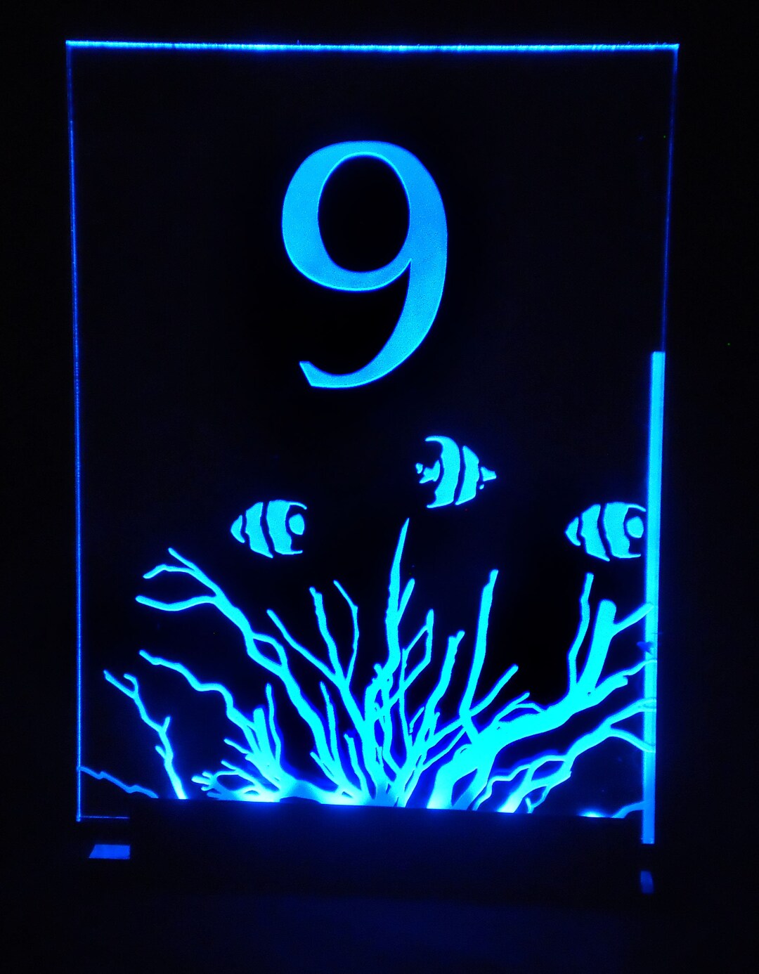 LED Beach - Shell - Under the Sea - Ocean- Tropical - Nautical - Table ...