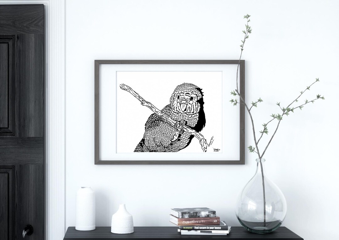 Hand-drawn New Zealand Native Bird Print - Framed Art, Black Pen ...