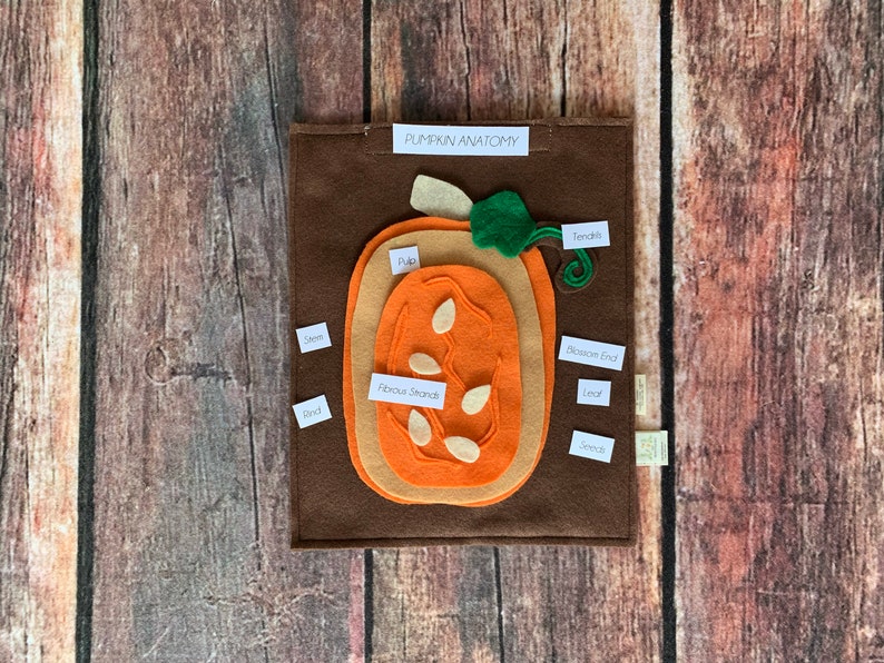 Pumpkin Puzzle Set, Nature Study, Charlotte Mason, Homeschool, Home ...