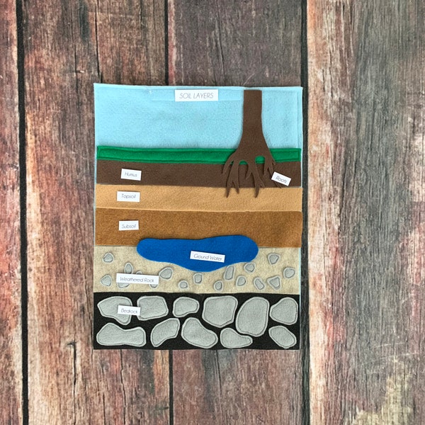 Homeschool Science - Etsy