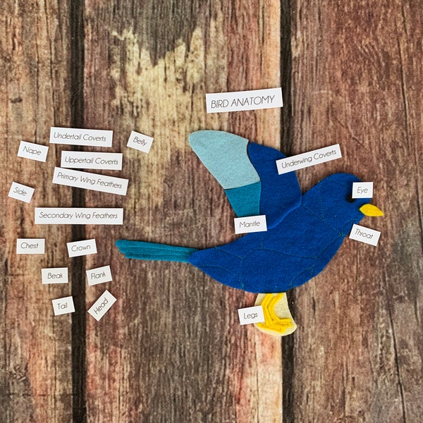 Charlotte Mason - Etsy